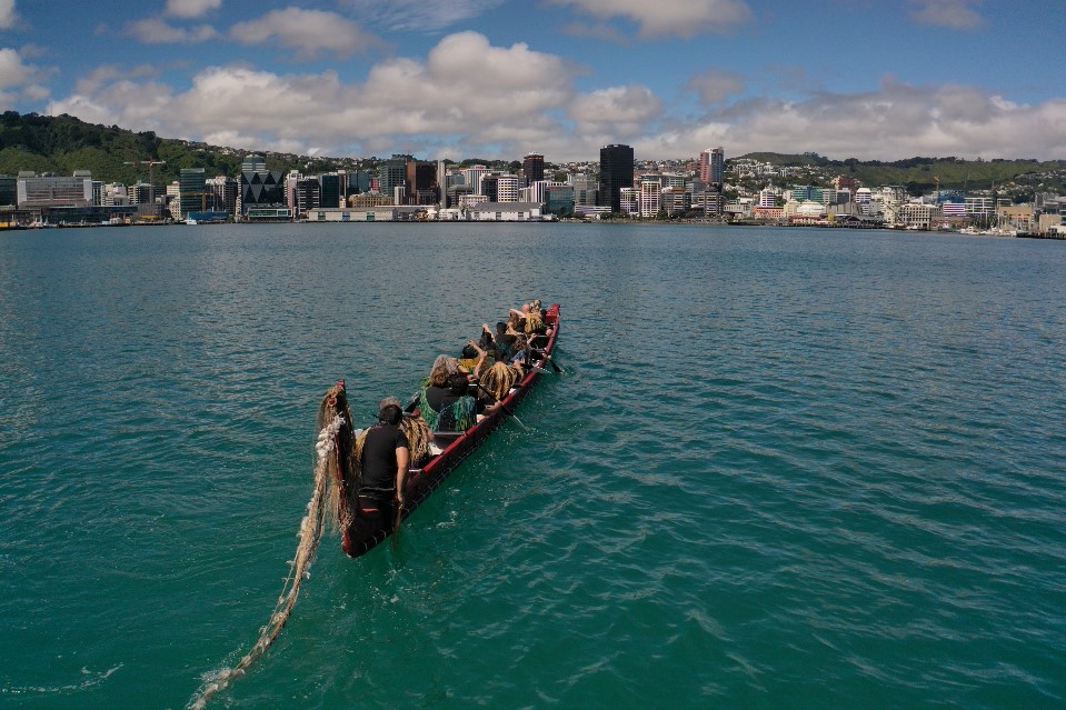 Aotearoa Plan of Action | Kea NZ